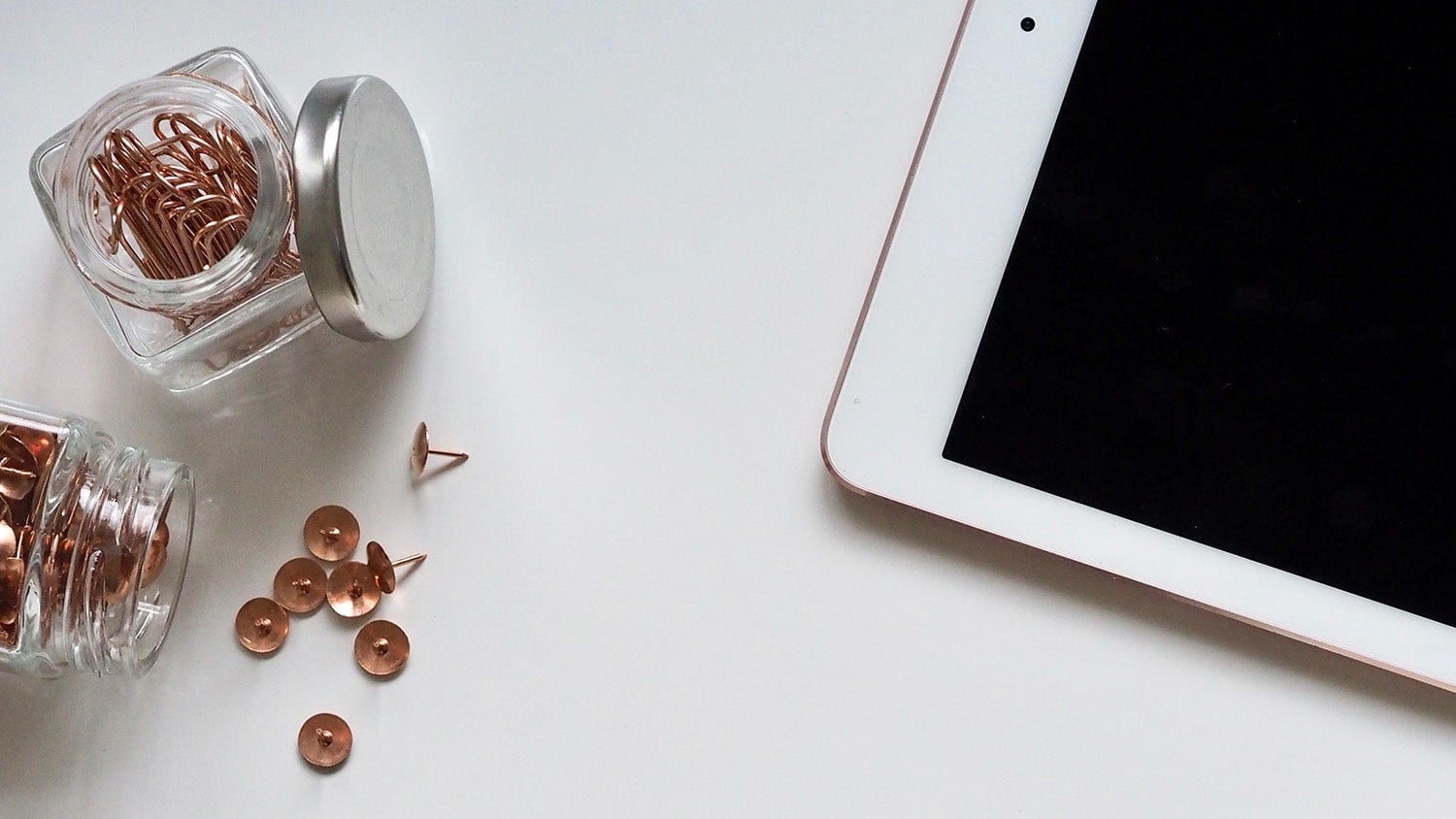 Faut-il vraiment se nicher pour réussir ? - TheBBoost